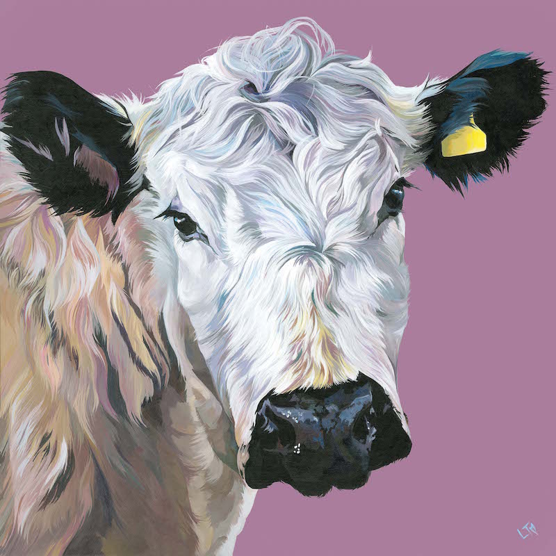 Fancy a Snoop? | Laurens Cows