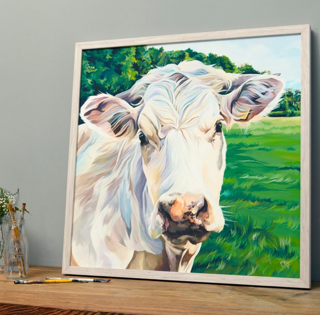 You have your cow, now let's frame it! | Laurens Cows