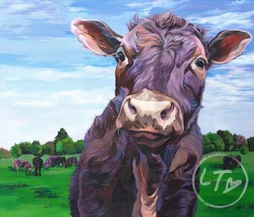 How Now Brown Cow | Laurens Cows